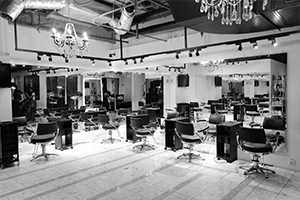 Ramani Fernando Salons